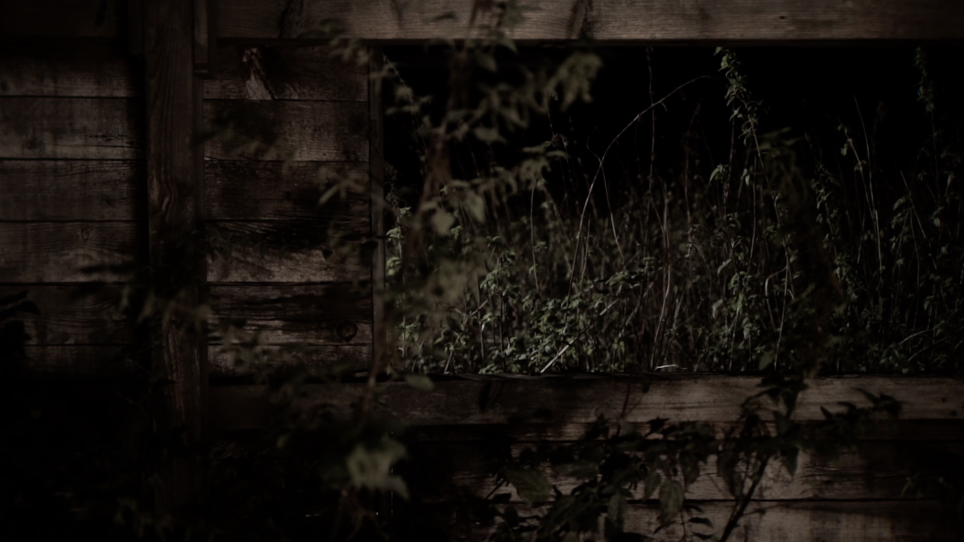 How the wooden structures survived in my mind – THADEUSZ TISCHBEIN
